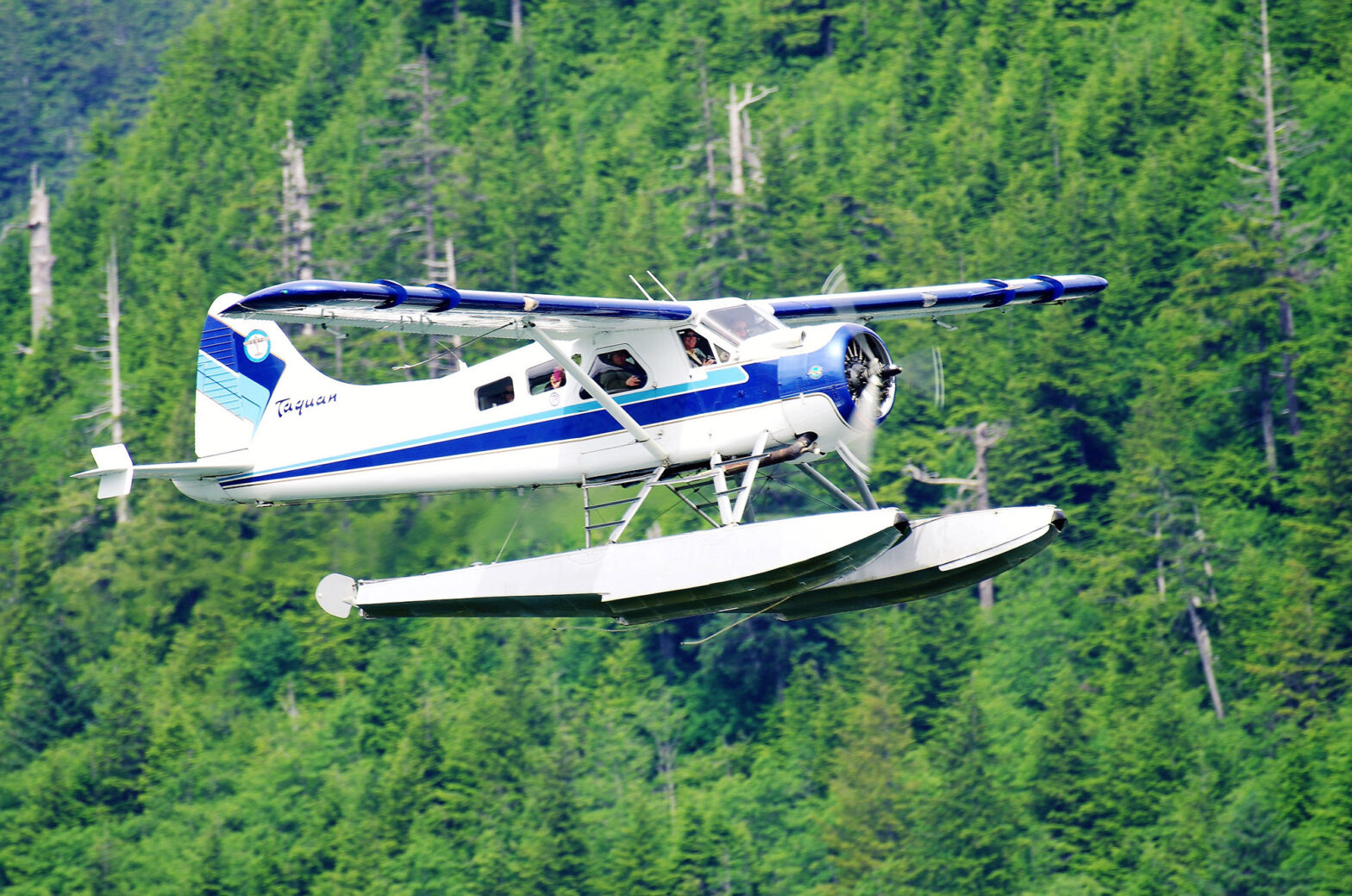 Seaplanes for Sale - Used Seaplanes Price - The Jet Collection